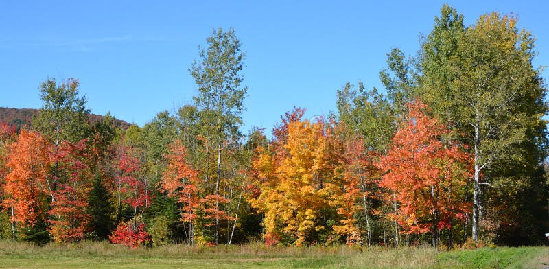Early fall landscape stock photo. Image of color, mirror - 78762740