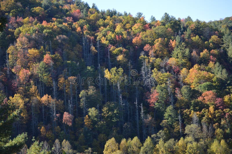 Early Fall stock image. Image of mountains, carolina - 61000501