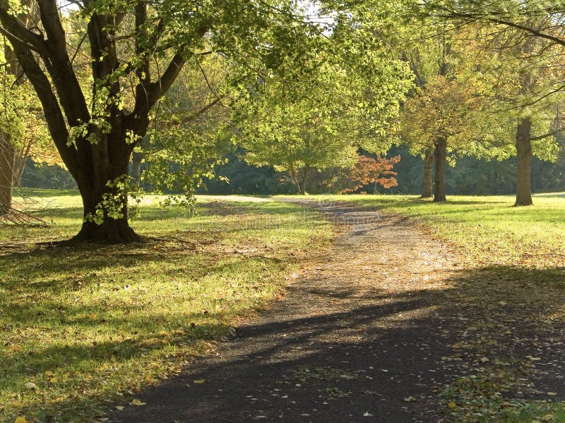 Early Fall Path stock image. Image of seasonal, green, woods - 386183