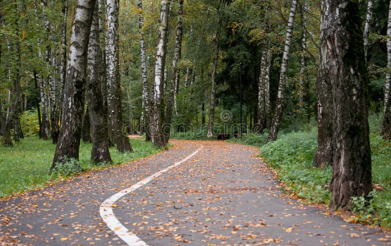 Early fall road stock image. Image of green, fall, background - 77959485
