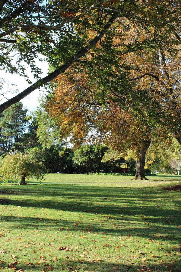 Early fall scene at a park stock image. Image of leaves - 227849587