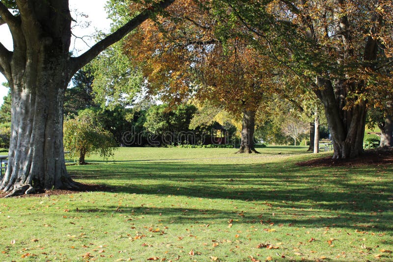 Early fall scene at a park stock photo. Image of land - 227849618