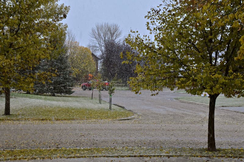 Early Fall snowfall stock image. Image of season, frees - 128876263