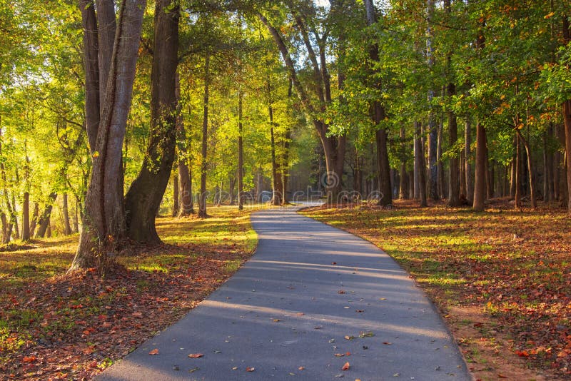Early Fall Walking Path through Woods Stock Image - Image of inspiring ...