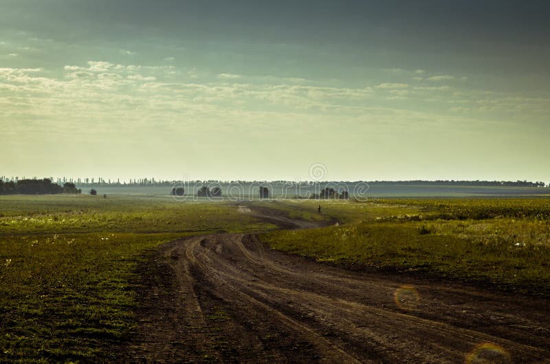 Early hunting stock image. Image of green, field, awesome - 62109091