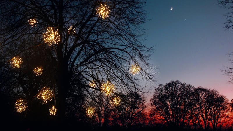 January sunset stock image. Image of sunset, fire, sunrise - 77247