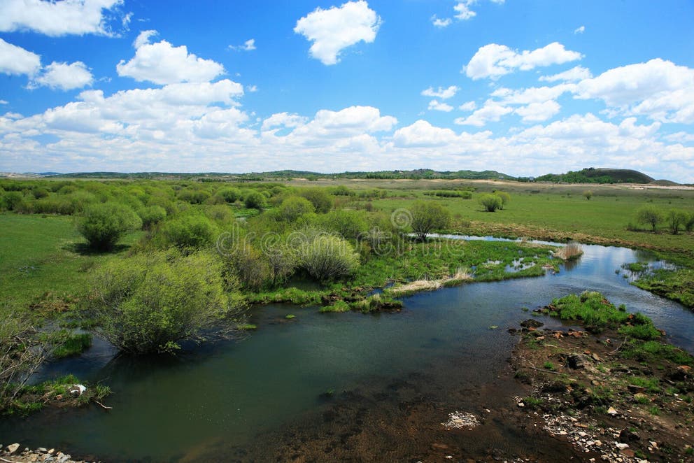 Early June in Mulan Paddock Stock Photo - Image of paddock, blue: 5491702