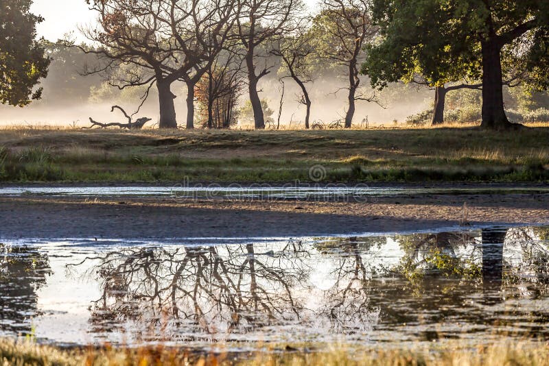 Early Mist stock image. Image of landscape, sunlight - 151126037