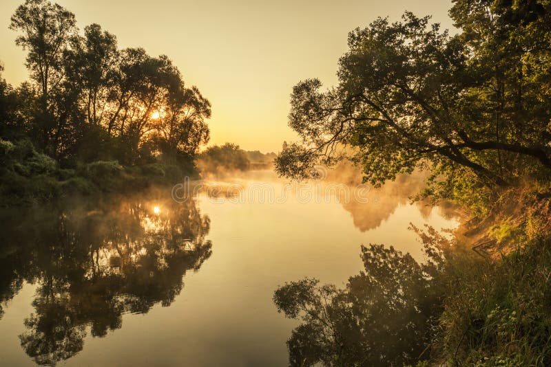 Early Misty Morning on the River. a Winding River among the Autumn ...
