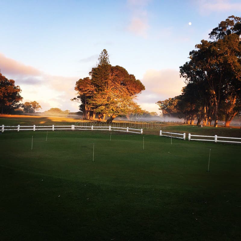 Misty golf stock photo. Image of morning, misty, early - 235020824