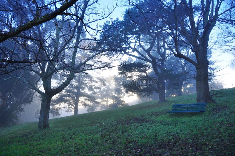Early Misty Morning - Lonely Bench In A Park Picture. Image: 15103188