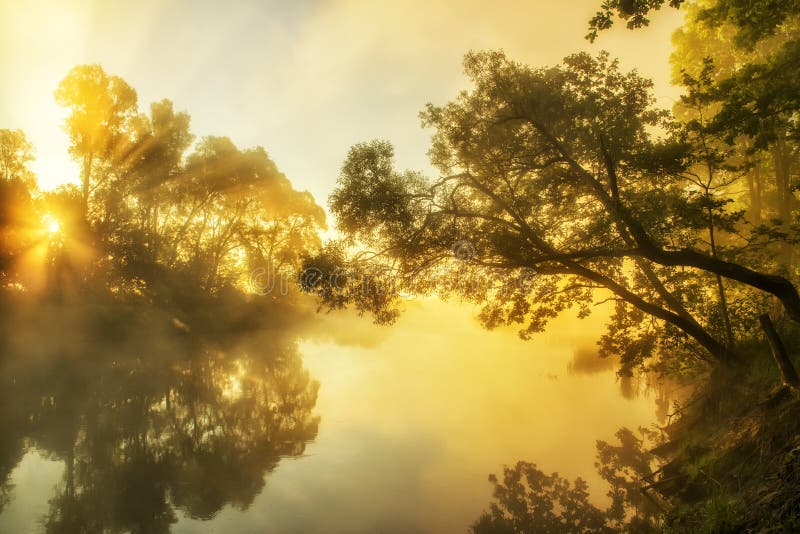 Early Misty Morning on the River, Lake. Stock Photo - Image of nature ...