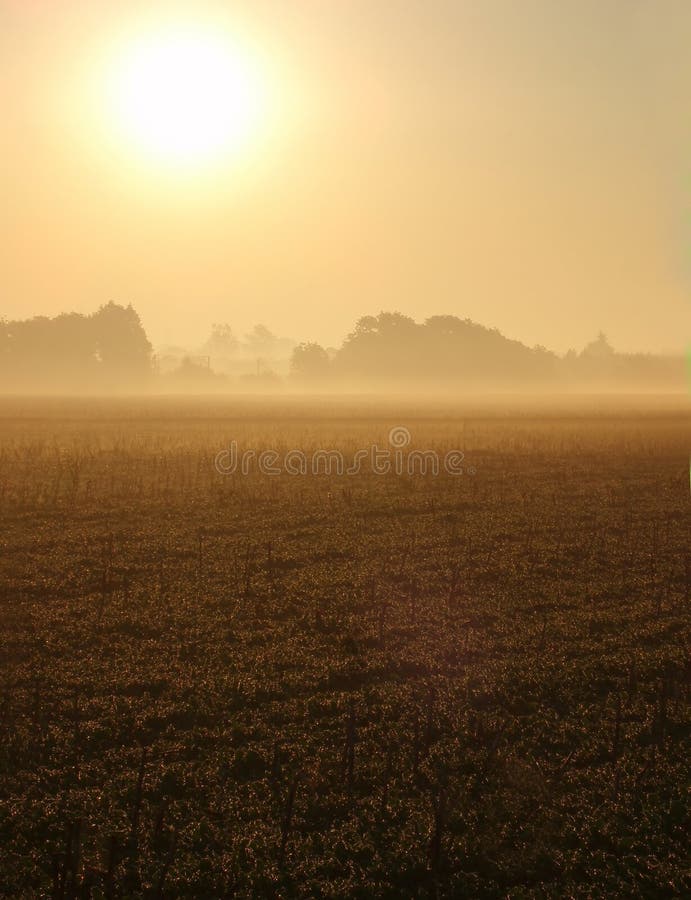 Early morning stock photo. Image of nature, weather, seasonal - 1238372