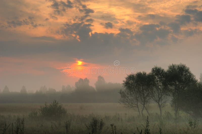 Early Morning Shadows stock photo. Image of view, glass - 3493062