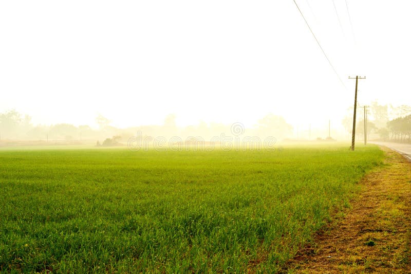 Early in the morning stock image. Image of yellow, mist - 37585679