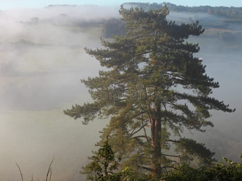 Early Morning in Autumn stock photo. Image of rural, pure - 28237038