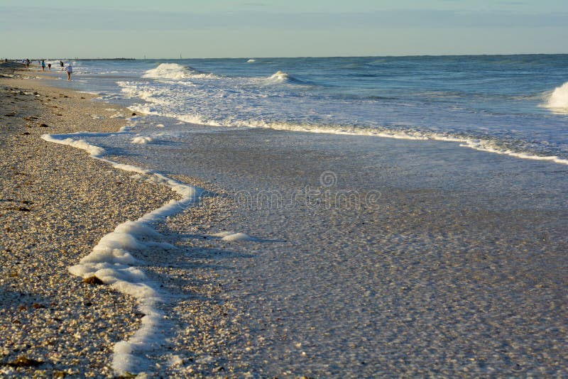 Early Morning at the Beach Low Tide Lots of Shells Stock Photo - Image ...