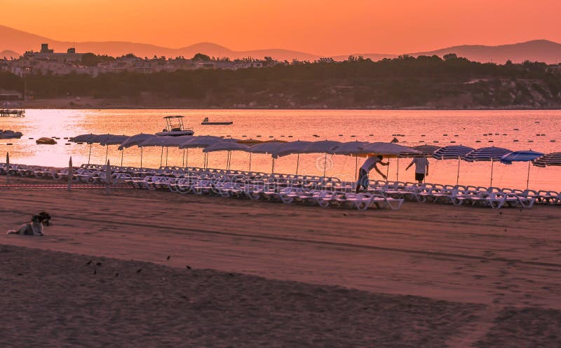 Early morning stock photo. Image of sunlight, ocean - 103830370