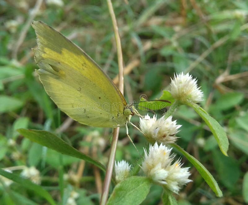 Early morning click stock photo. Image of morning, click - 131210568