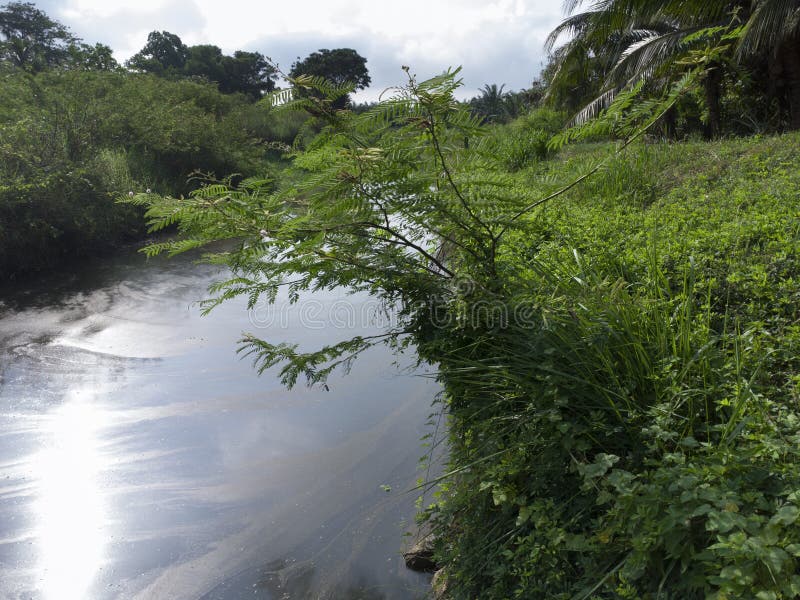Early Morning or Dark Environment at the Irrigation River Stock Photo ...