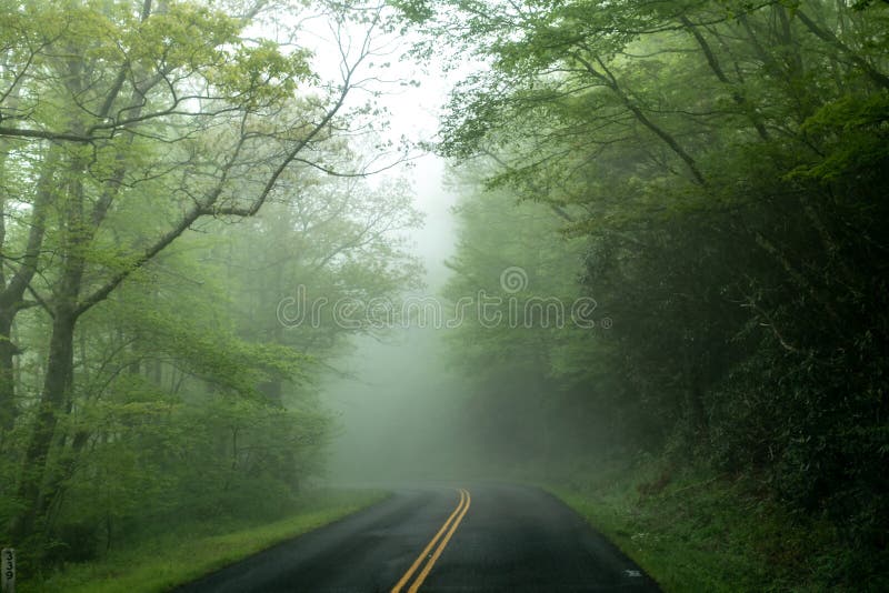Early Morning Drive through Blue Ridge Parkway in Spring Stock Photo ...
