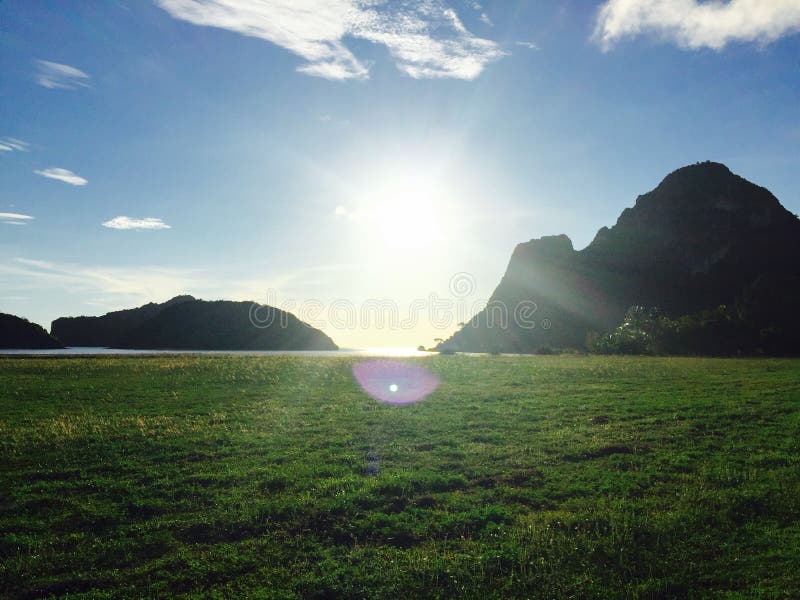 Early morning stock photo. Image of grass, wakeup, beautiful - 120013954