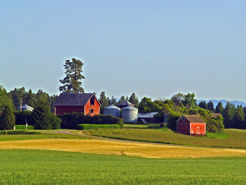 Early Morning at the Farm stock photo. Image of fields - 2766106