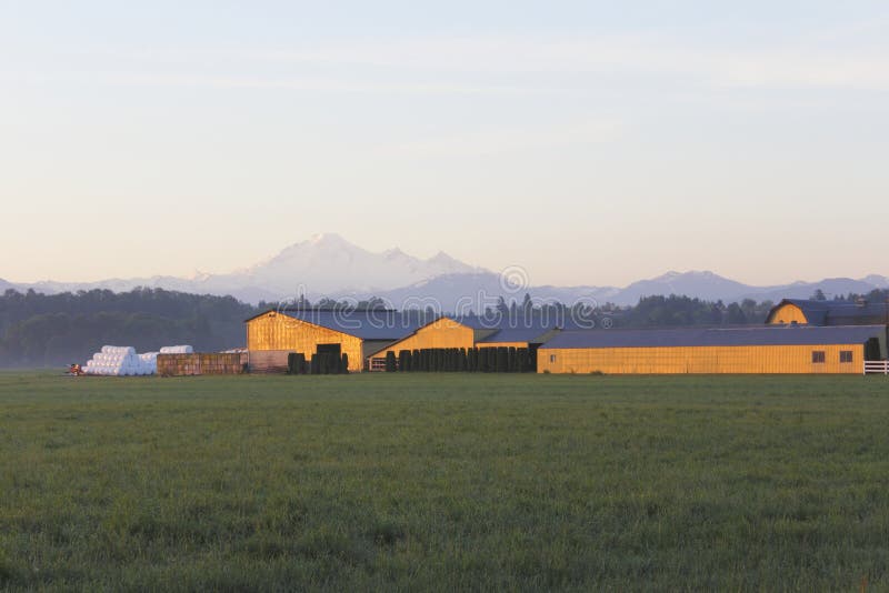 Early morning Farm Yard stock photo. Image of baker, mainland - 24794334