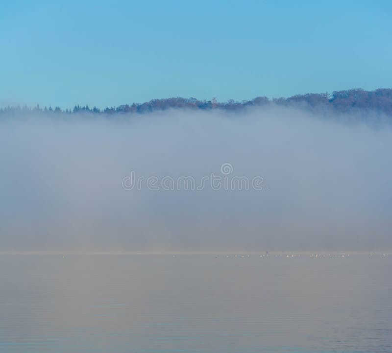 Fog over the water stock image. Image of morning, cloudy - 83383071