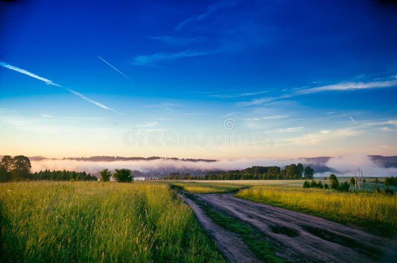 Early Morning. Forest Hiding in the Fog. Forest Path Stock Image ...