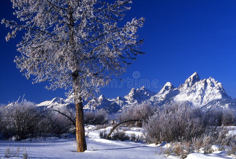 Early morning frost stock image. Image of national, blue - 17239547