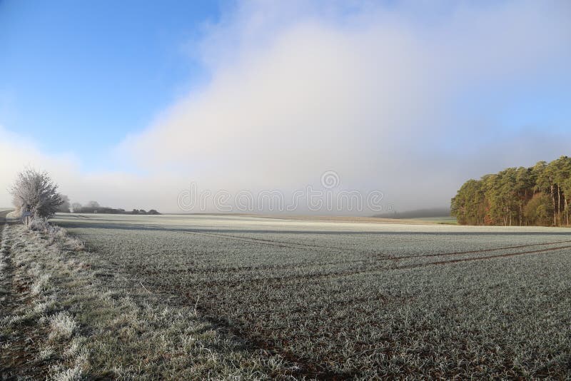 Early Morning Frost. Frost on the Grass and Trees. Stock Photo - Image ...