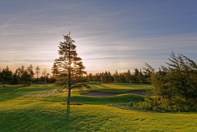 Early morning golf green stock image. Image of game, golf - 62707781