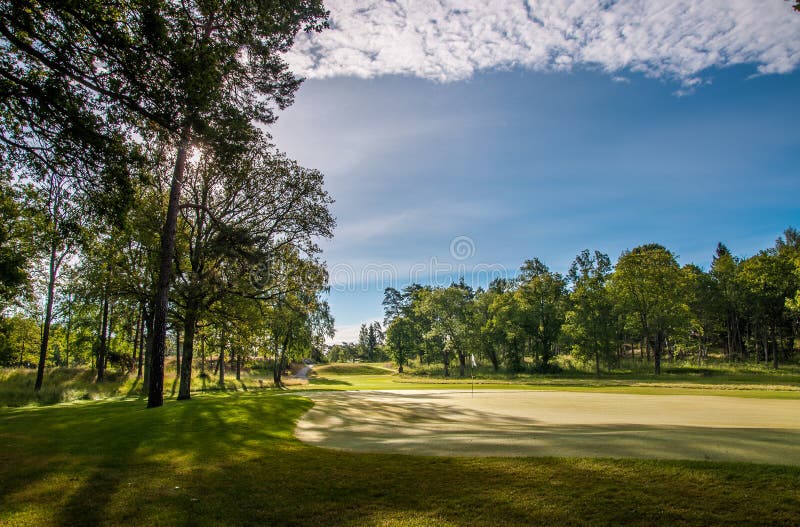 Morning golf stock image. Image of club, lefthanded, morning - 2632163