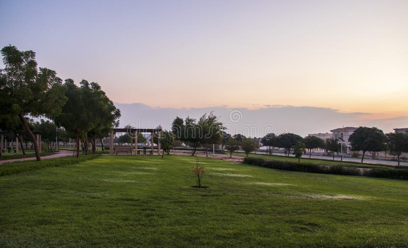 Early Morning Hour at the Park. Outdoors Stock Image - Image of ...