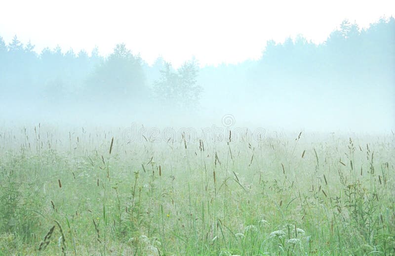 Early Morning in Karelia. Russia Stock Image - Image of early, russia ...