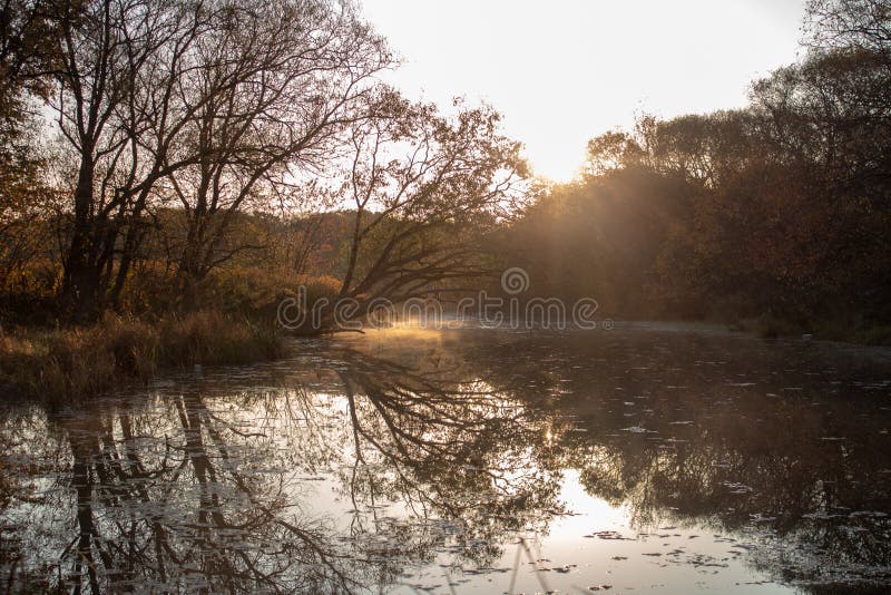 Early morning on the lake stock photo. Image of grass - 128501876