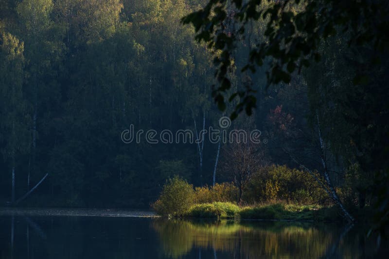 Early Morning on a Lake in a Forest Stock Image - Image of view ...
