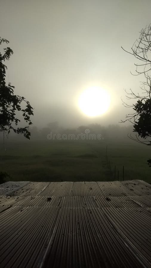 Early morning light stock photo. Image of morning, cloud - 196457566