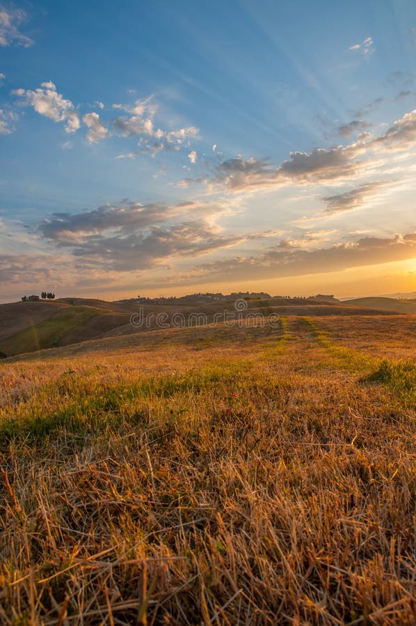 Early Morning Light in the Tuscany Stock Image - Image of light, meadow ...