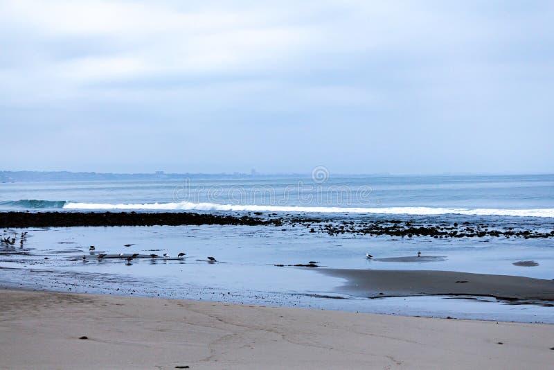 Early Morning Low Tide Tidal Pools and Birds Stock Photo - Image of ...