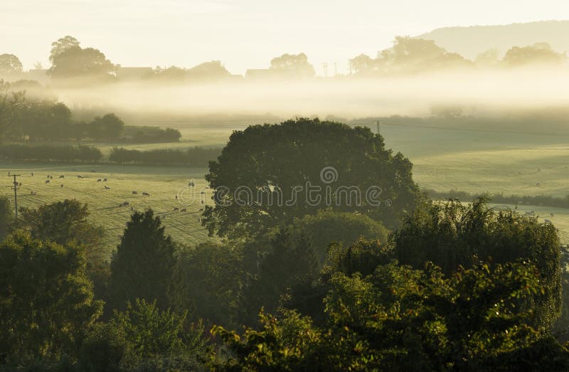 Early Morning Mist stock photo. Image of early, landscape - 33498486