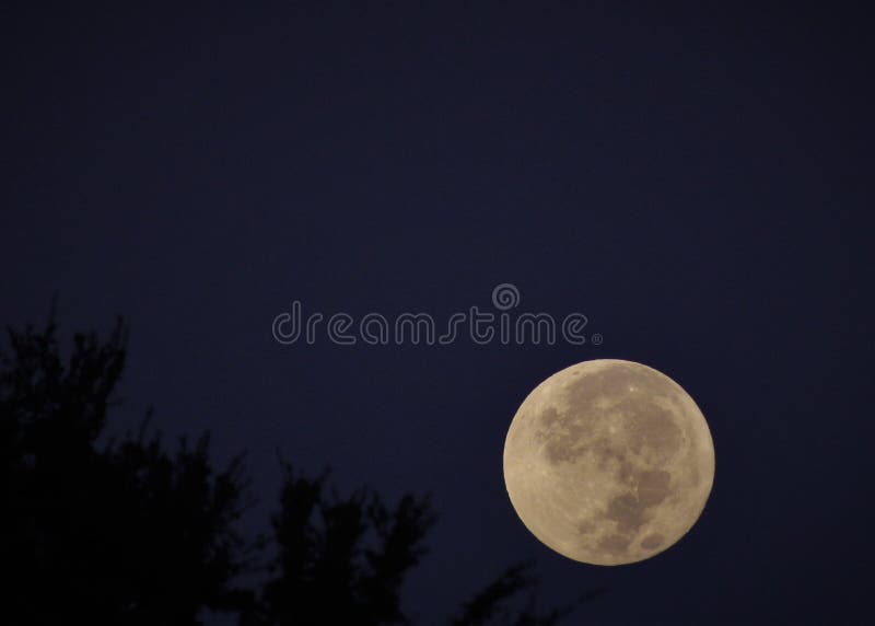 Setting Moon stock image. Image of early, setting, moon - 83226739