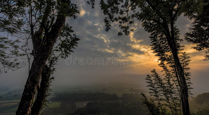 Early Morning stock photo. Image of frame, asia, tree - 93980634