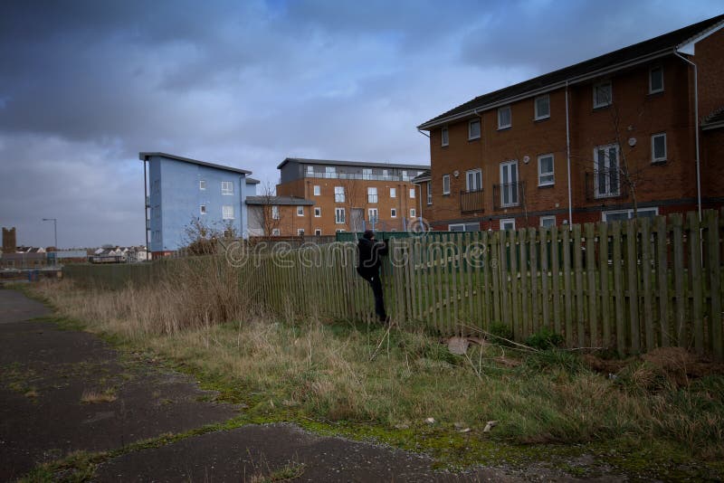 An Early Morning Opportunist Stock Image - Image of house, waste: 22950671