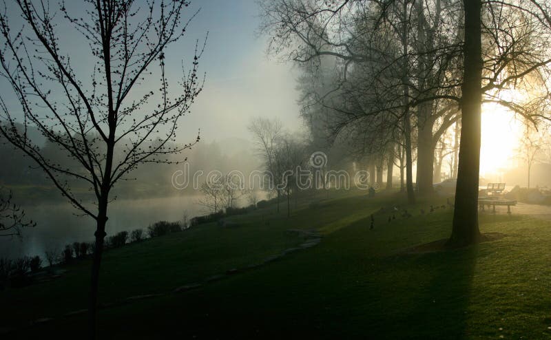 Early Morning Park stock image. Image of oregon, dreamy - 14577207