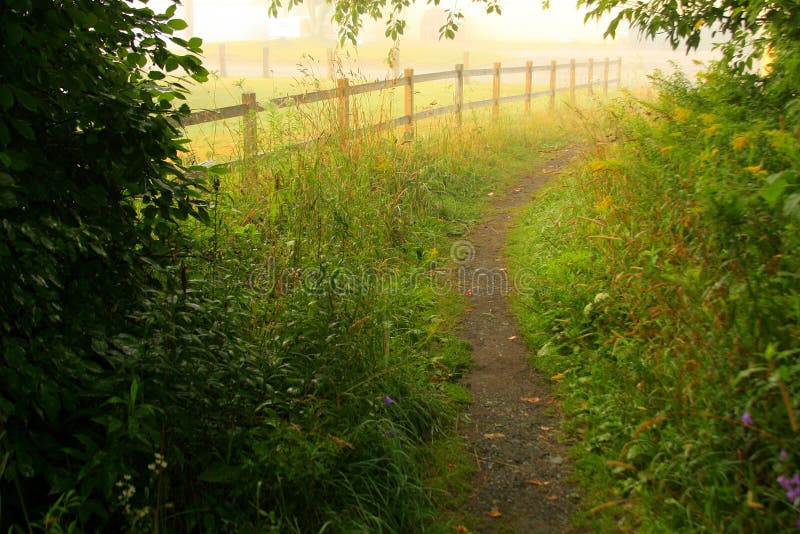 Early morning path stock image. Image of home, morning - 75708435