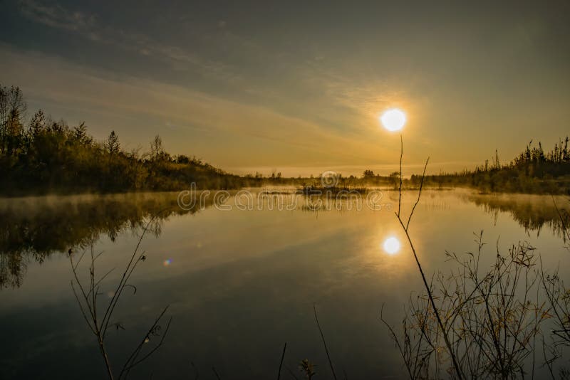 Early morning at the pond stock image. Image of braking - 165350183