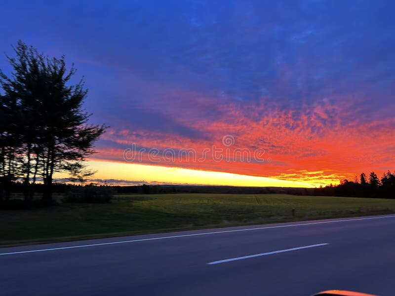 Early morning Purple sky stock photo. Image of fall - 256608070