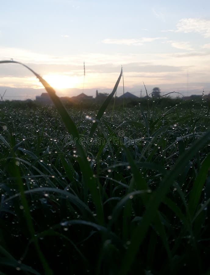 Early Morning Real Pic stock image. Image of real, morning - 221685025